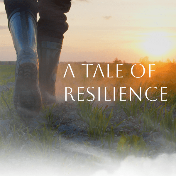 About Ronin Agronomy