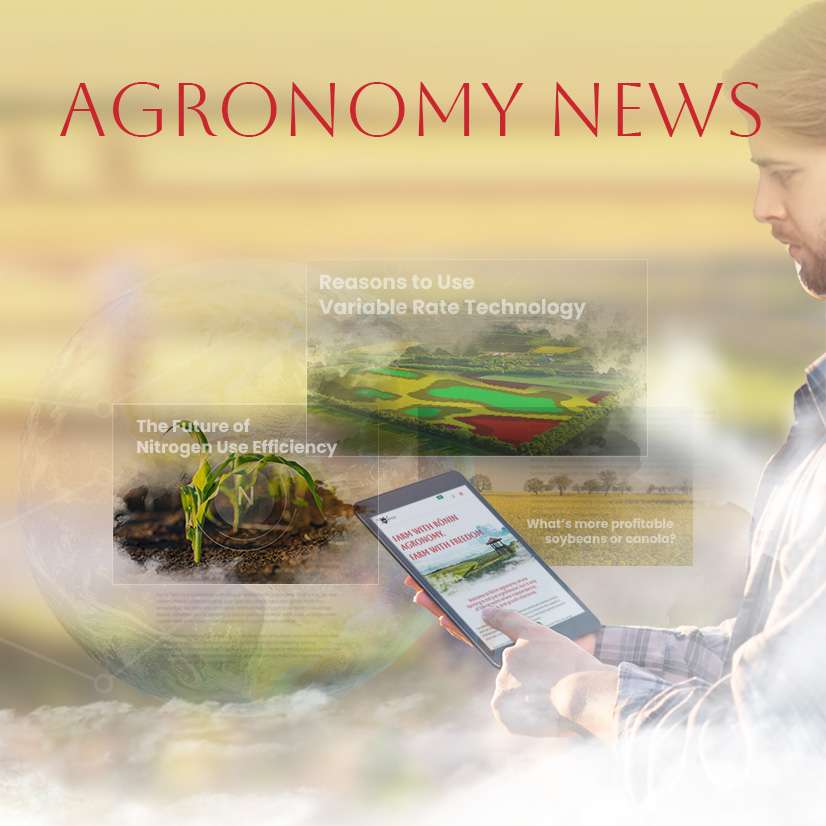 News - Ronin Agronomy