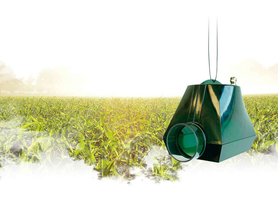 Crop Monitoring - Ronin Agronomy