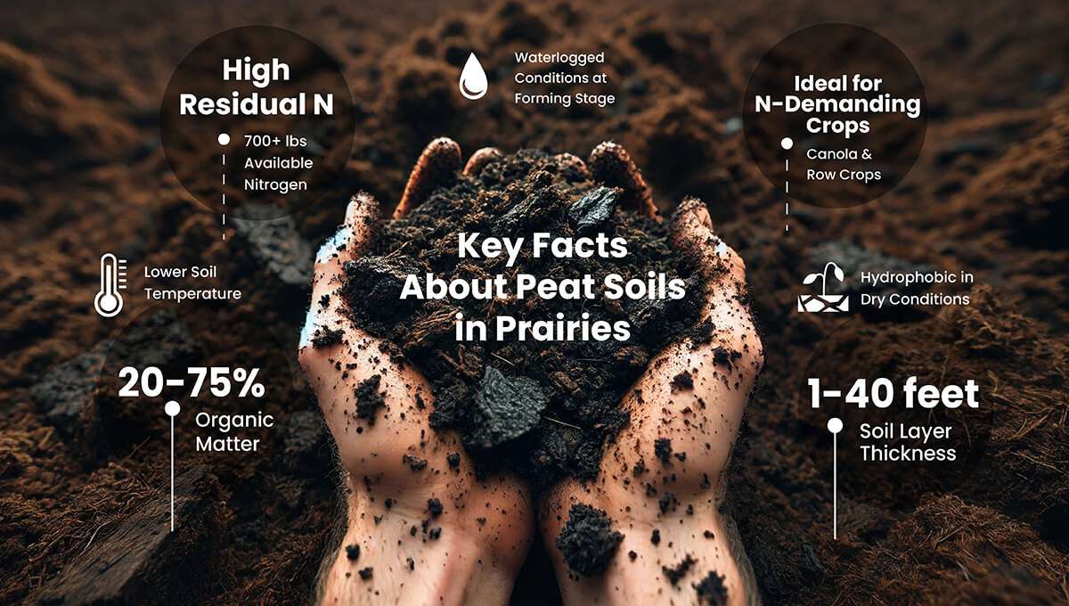 The Unique Benefits and Challenges of Peat Soils in Agriculture - Ronin ...