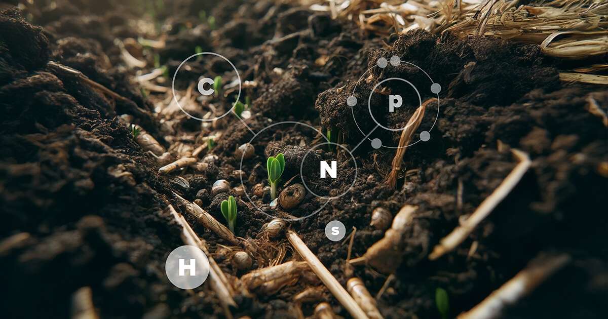 Soil Organic Matter Stability and Its Role in Carbon Storage - Ronin ...