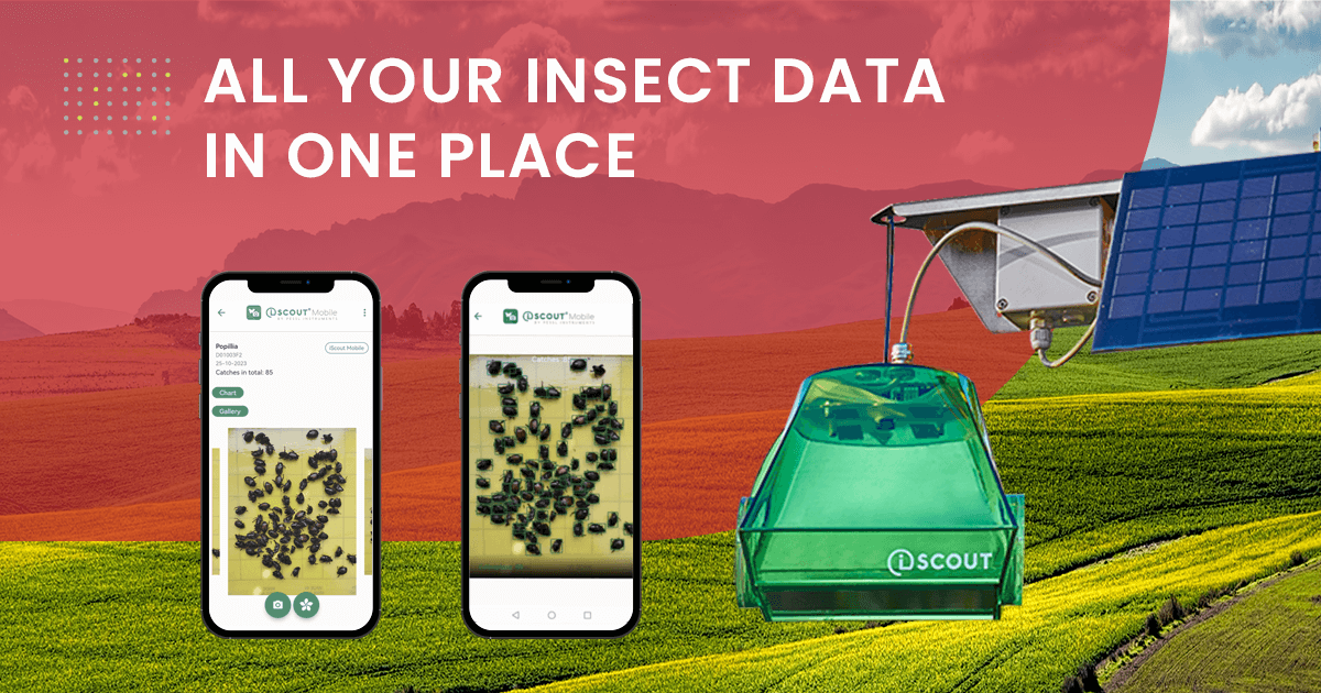 Let Robots Count the Pests: Transforming Agriculture with AI - Ronin ...